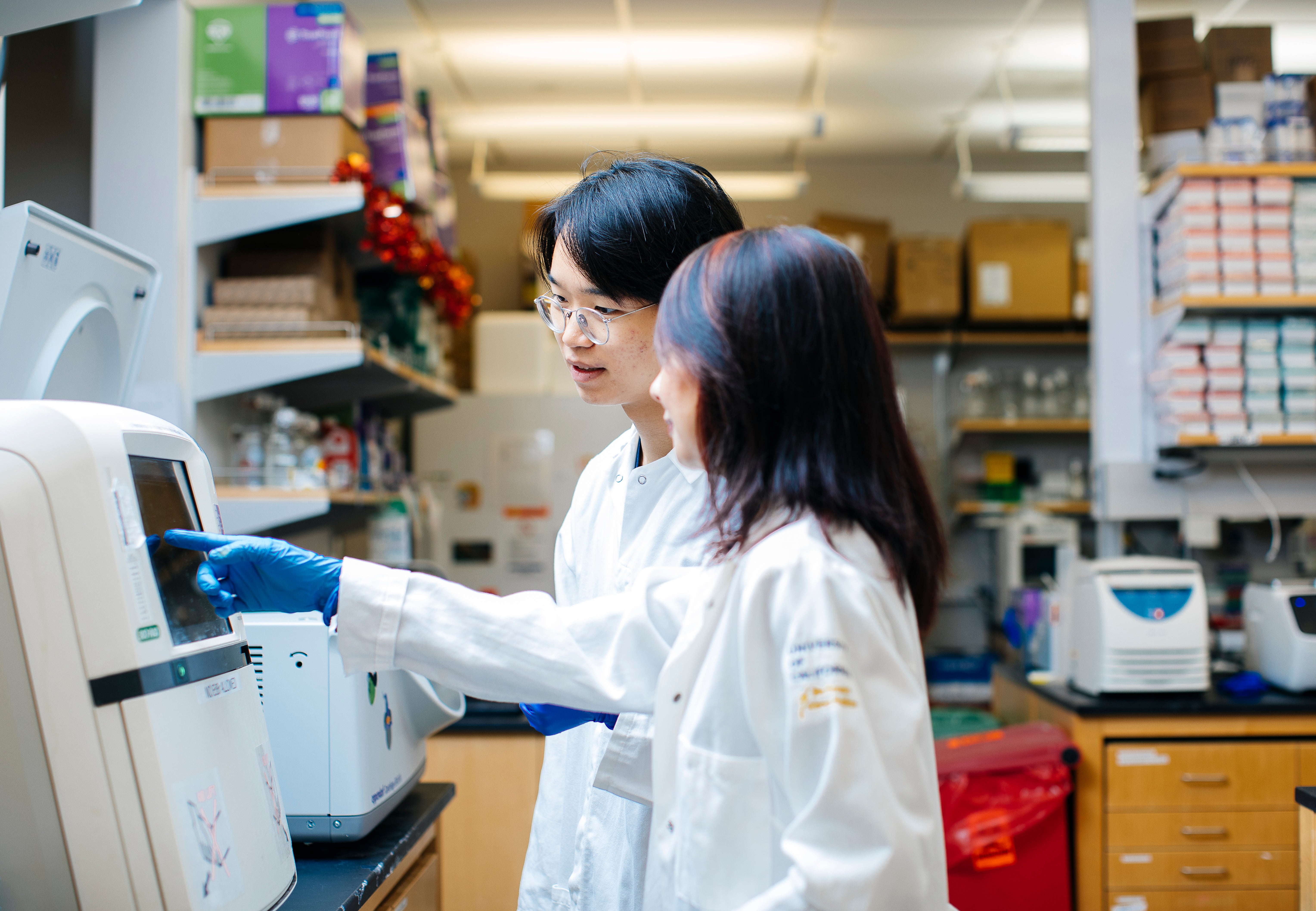 Cancer & Immunotherapy | UCLA BSCRC