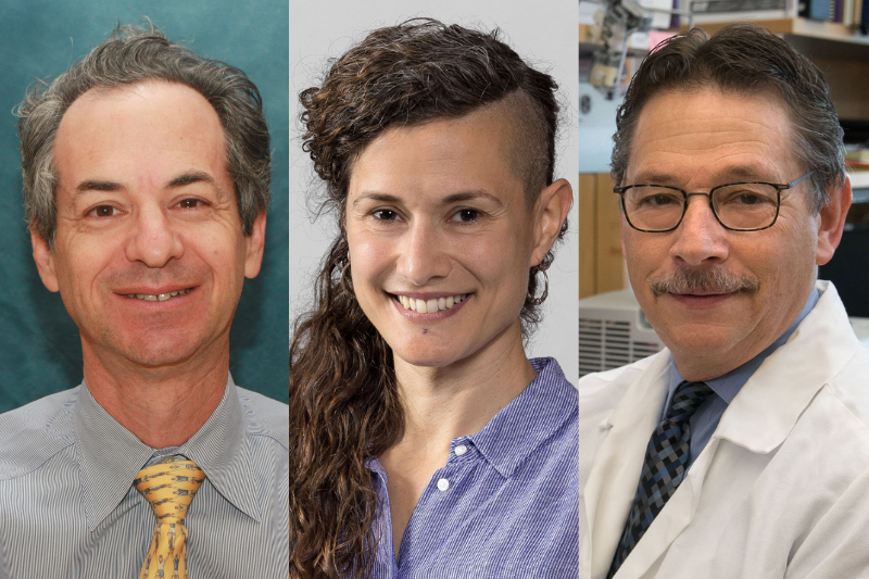 UCLA scientists receive $16.1 million in CIRM grants to advance novel ...