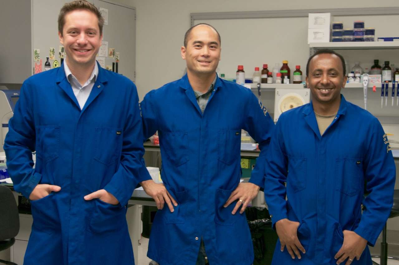 Determining how nucleoside metabolism regulates contrasting immune ...
