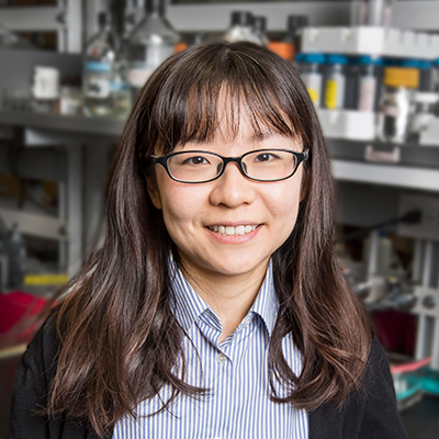 Shan Meltzer, Ph.D. (Harvard University) | UCLA BSCRC