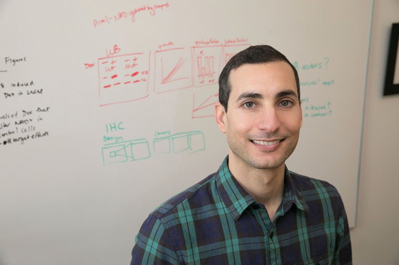 Cancer researcher honored for work developing new treatments for ...